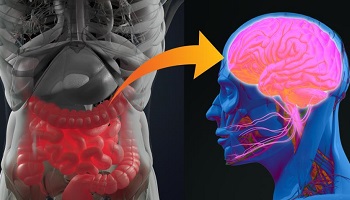 AMMFEN . Asociación Mexicana de Miembros de Facultades y Escuelas de ...